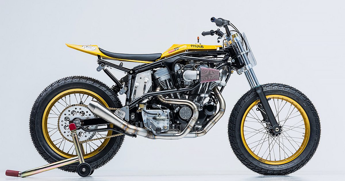 My Way: Mule builds the ultimate Hooligan flat track race bike | Bike…